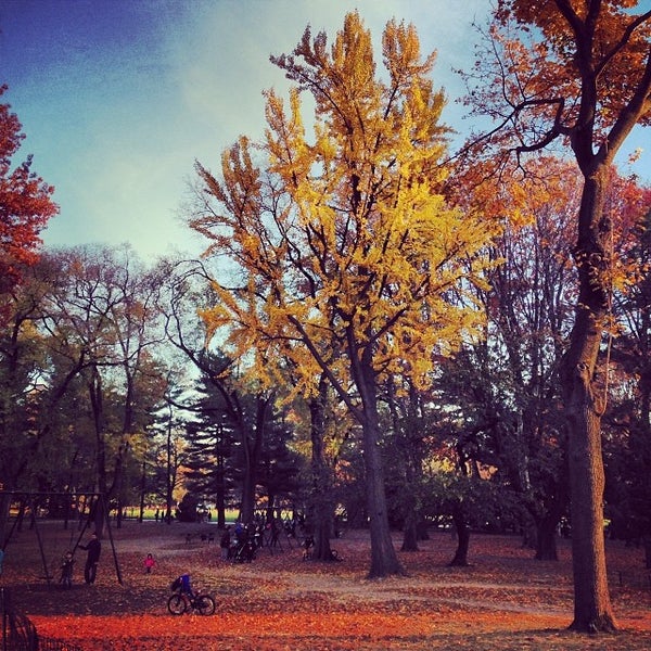 Photos at Arthur Ross Pinetum - Central Park - Central Park W