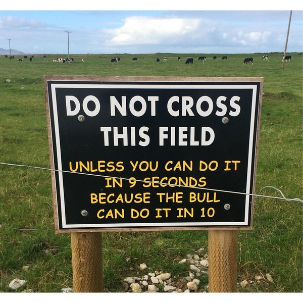 Fenit Beach - Beach in Fenit