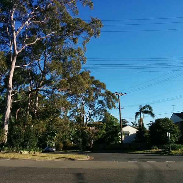 East Killara - Ku-ring-gai - 0 tips