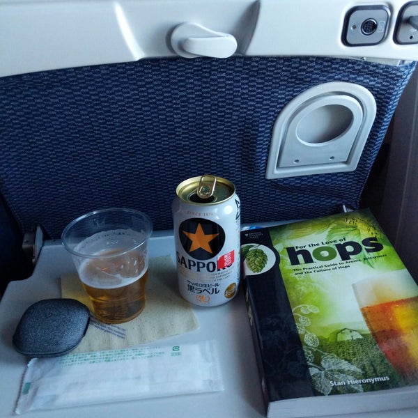 Photos at Air Canada Flight AC 888 - Plane in Ottawa