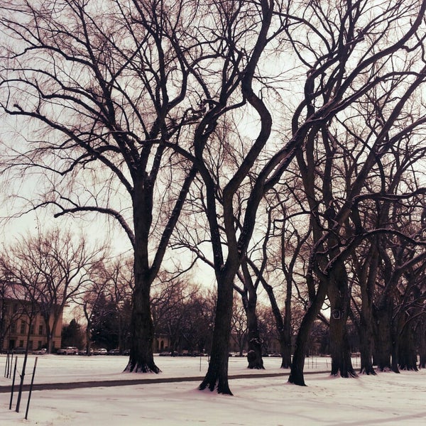 CSU Oval - Fort Collins, CO