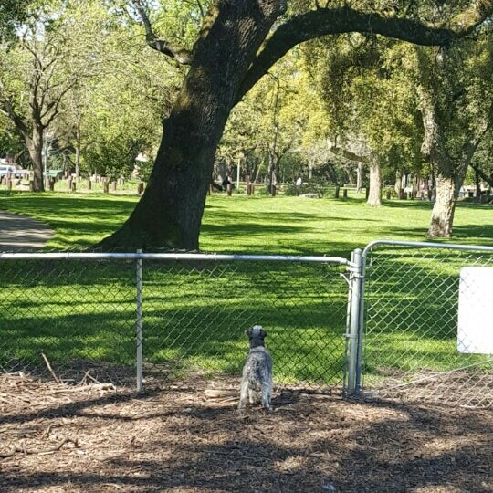 Doyle Park Dog Park - Dog Park