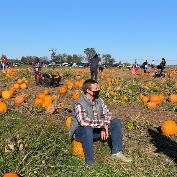 Homestead Farm - Farm