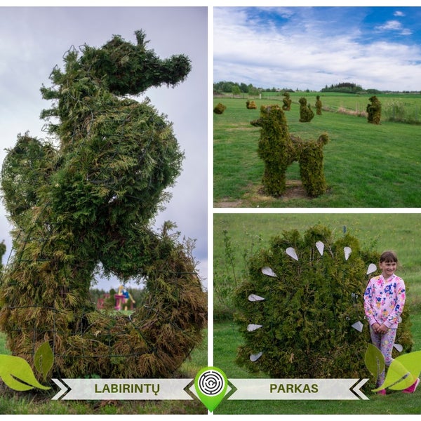 Labirintų parkas - Skapiškių k. 5, Anykščių sen.