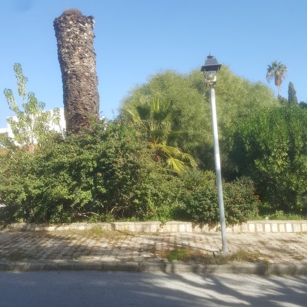 Carthage Dermech | قرطاج درّمش - Neighborhood in Carthage