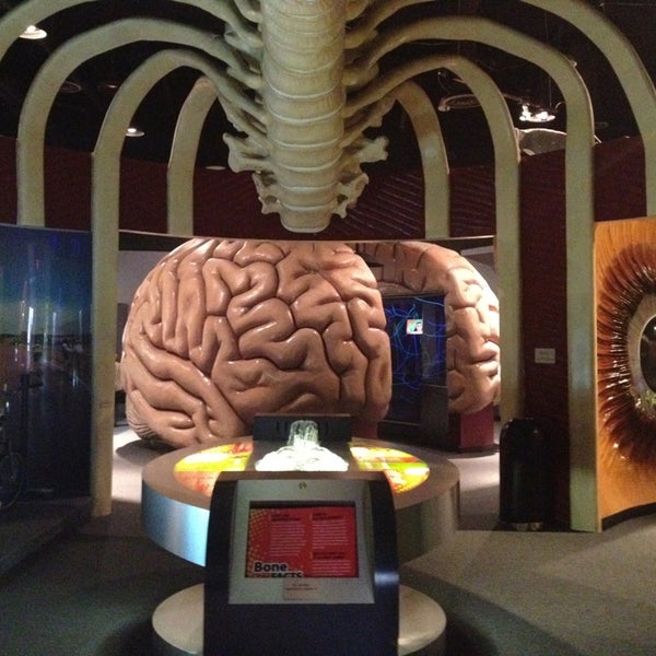 Health Museum of Houston - Houston, TX