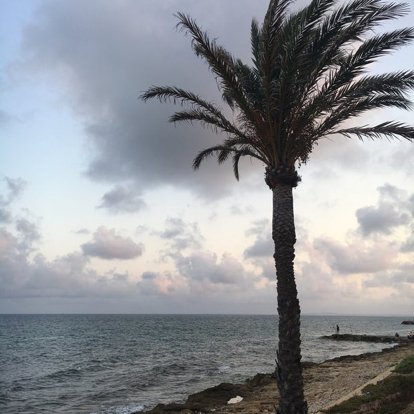 Calas del Este / Carloti - Beach in Santa Pola