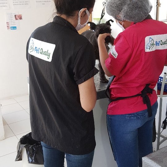 CFAV Curso de Formação de Auxiliar Veterinário - Boca do Rio - Salvador, BA