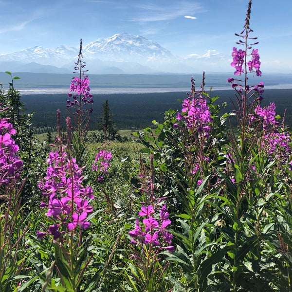 Photos at Denali National Park & Preserve - National Park