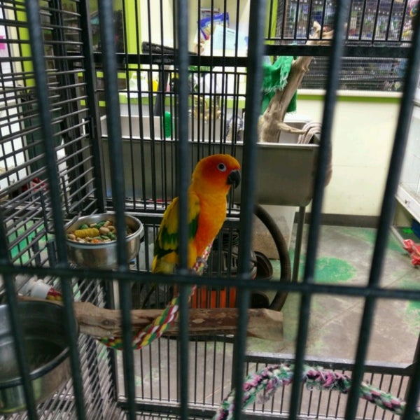 Animart - Pet Supplies Store in Madison