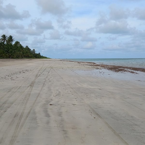 Praia do Toque - Beach in São Miguel dos Milagres