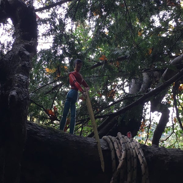 Photos at Parkaki Dentrospita - Forest in Payliani