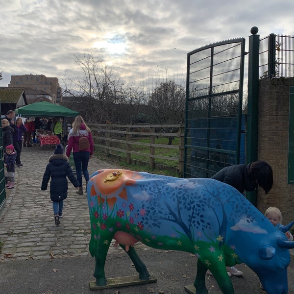 Photos at Surrey Docks City Farm - Farm in Surrey Docks