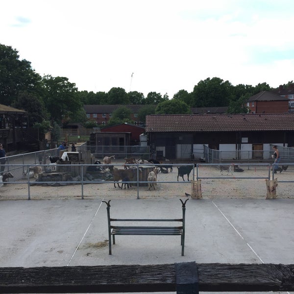 Photos at Surrey Docks City Farm - Farm in Surrey Docks