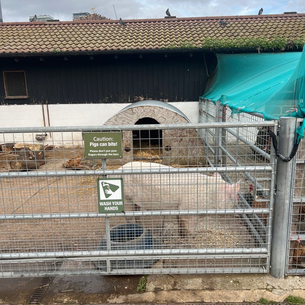 Surrey Docks City Farm - Farm in Surrey Docks