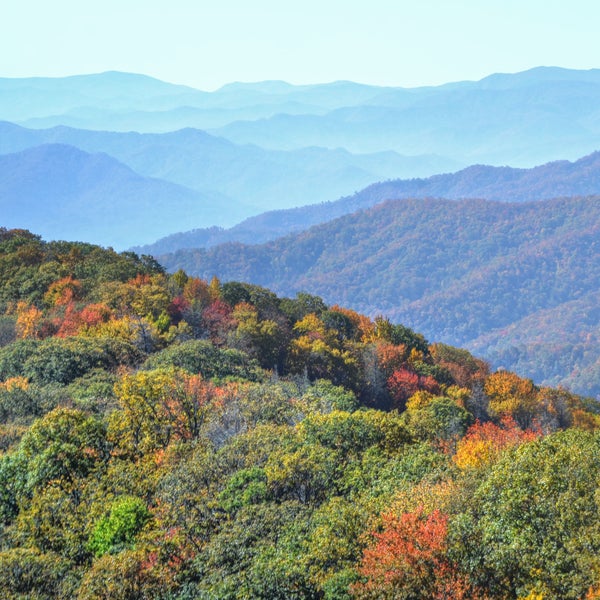 Bryson City - 5 tips