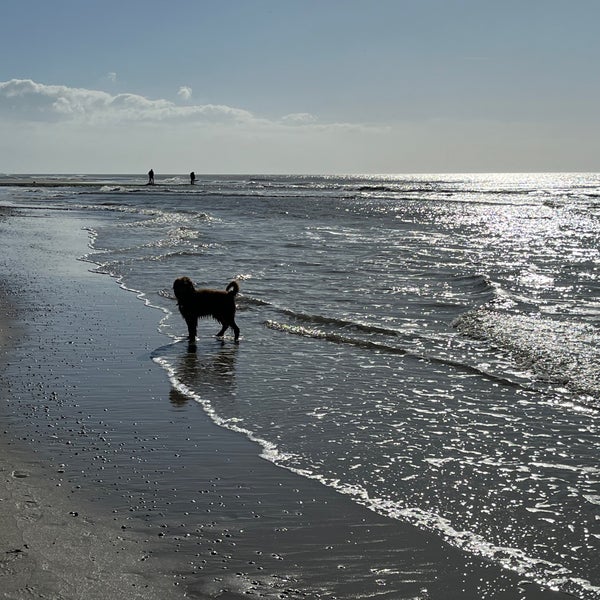 Strand Callantsoog - Beach in Callantsoog