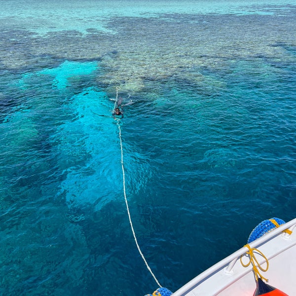 Jackson Reef - Dive Site - Dive Spot