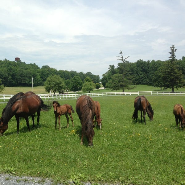 University of Vermont Morgan Horse Farm - 1 tip