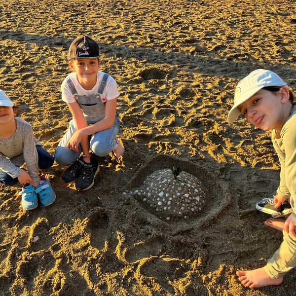Pt Chevalier Beach - Beach in Point Chevalier