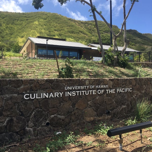 Fort Ruger Pathway - Hiking Trail in Honolulu