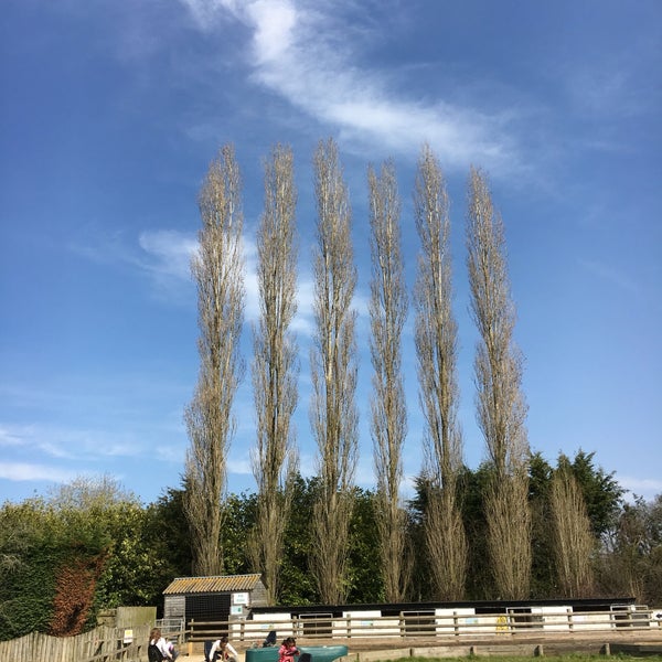 Fishers Adventure Farm Park - Billingshurst, West Sussex