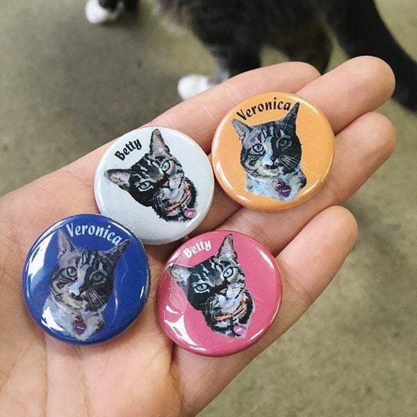 Photos at Urban Tails Pet Supply - Lowry Hill East - 2106 Lyndale Ave S