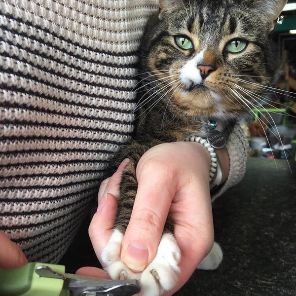 Photos at Urban Tails Pet Supply - Lowry Hill East - 2106 Lyndale Ave S