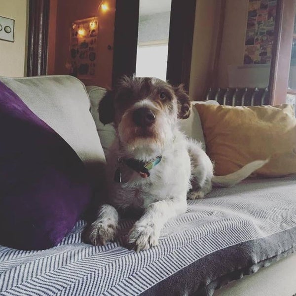 Photos at Urban Tails Pet Supply - Lowry Hill East - 2106 Lyndale Ave S