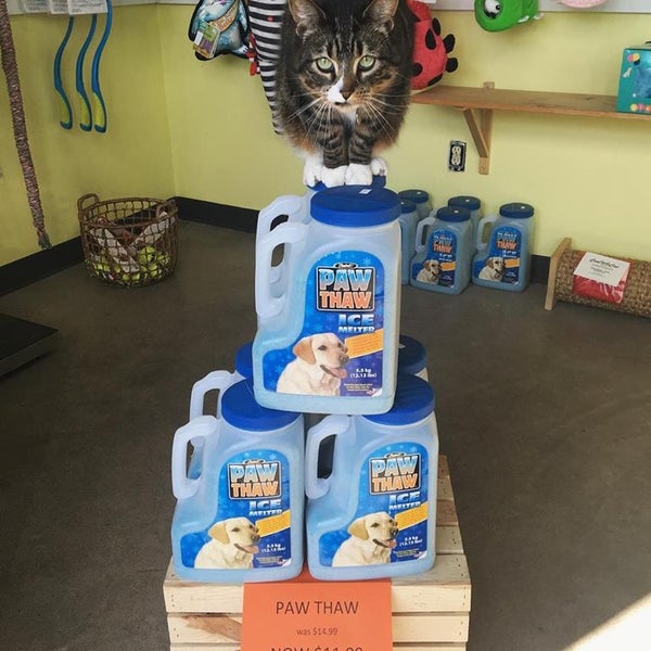 Photos at Urban Tails Pet Supply - Lowry Hill East - 2106 Lyndale Ave S