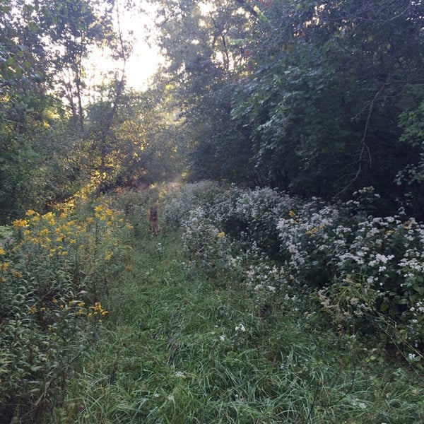 Red Gate Woods - 2 tips from 147 visitors