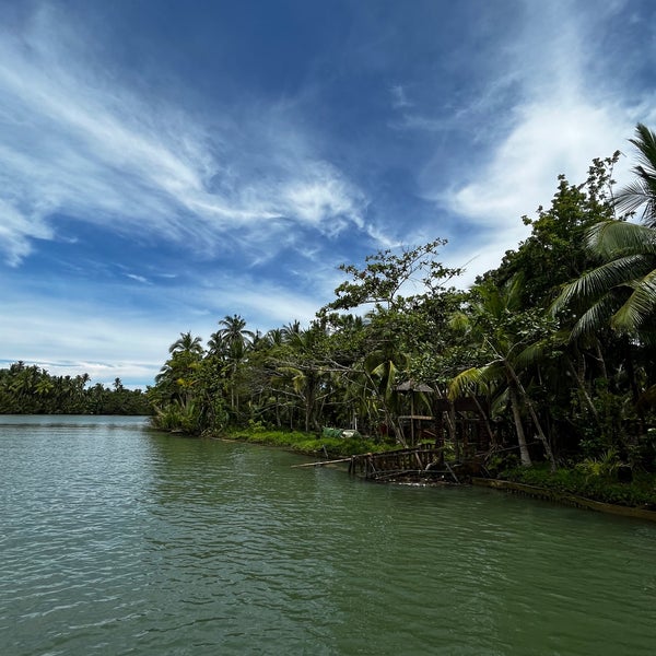 Loboc River - 3 tips from 199 visitors