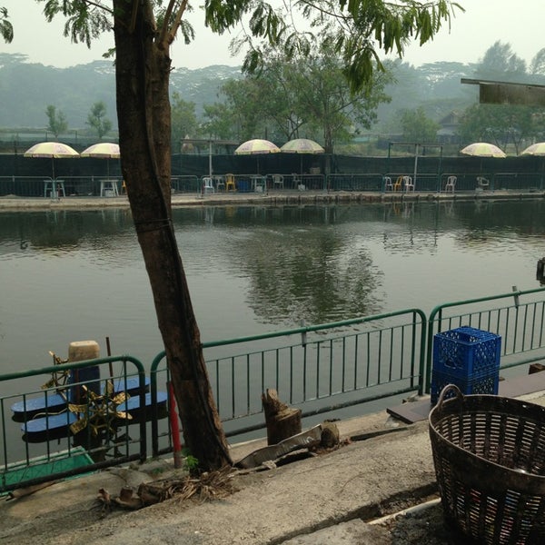 Punggol Fish Pond - Punggol - 3 tips