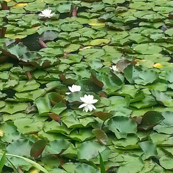 Robert Copenhaver Park - Copenhaver Park