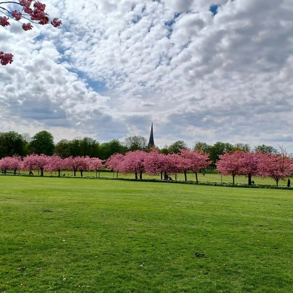 The Stray - Harrogate, North Yorkshire