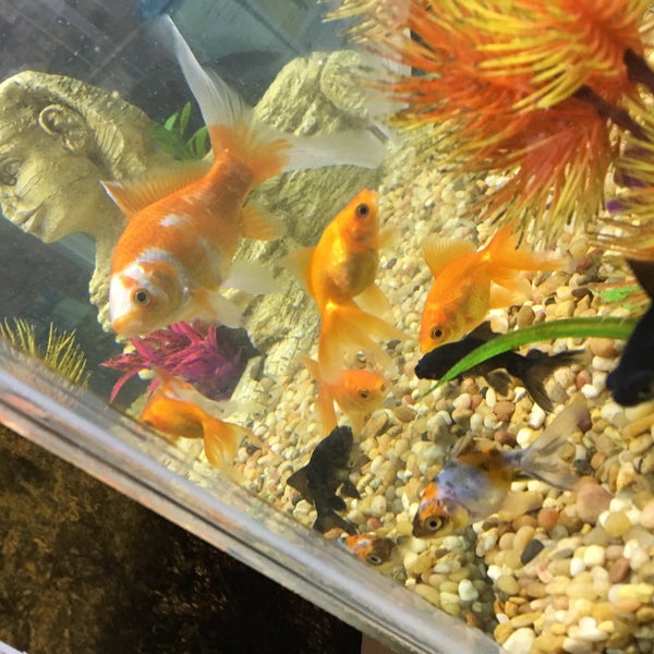 Photos at PetSmart Corporate Headquarters - Office in Phoenix