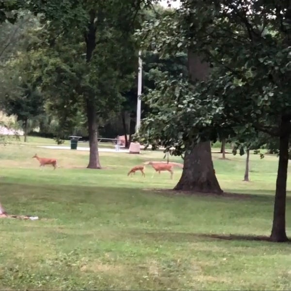 Hopkins Park - Park