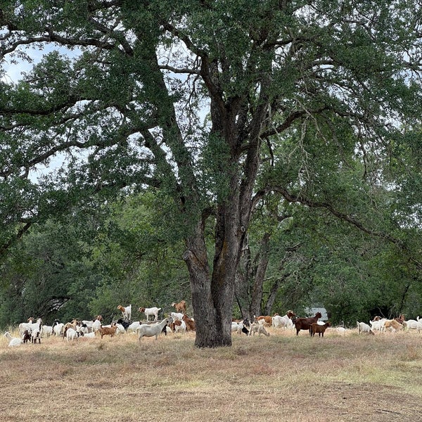 Photos at Folsom State Prison (FSP) - Prison in Represa