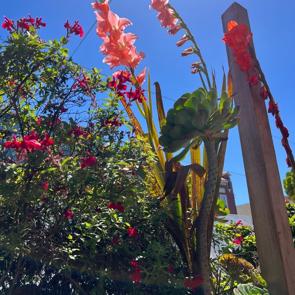 Crepevine - Inner Sunset - San Francisco, CA