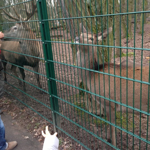 Wildpark Mainz-Gonsenheim - Park in Mainz