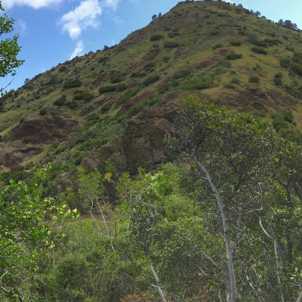 Donner Canyon Hiking Trail - Clayton, CA
