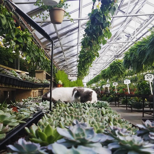 Photos at Kane's Flower World - Rt 114