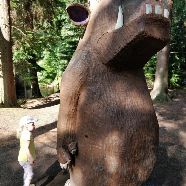 Hamsterley Forest - Forest in Hamsterley