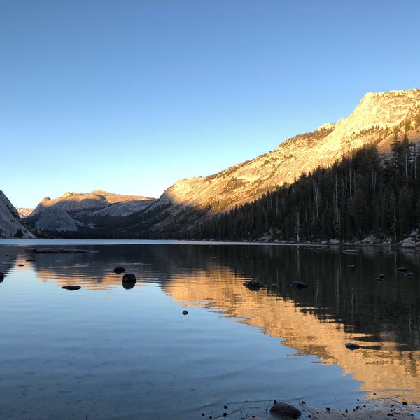 Tenaya Lake - 3 tips from 216 visitors