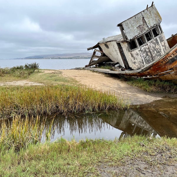 Point Reyes Shipwreck - 2 tips from 670 visitors