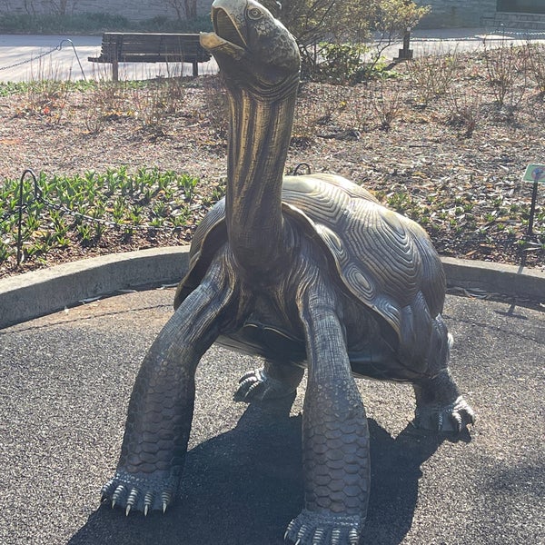 Cincinnati Zoo Statues