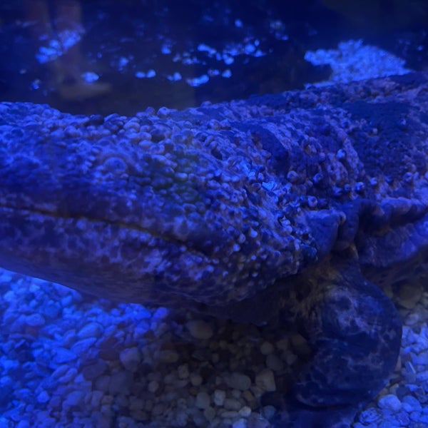 Reptile Discovery Center - Zoo Exhibit in National Zoological Park