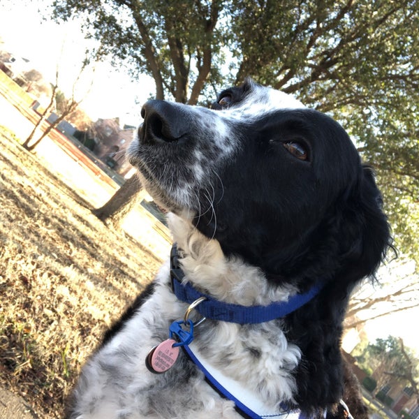 Warren Sports Complex - Park