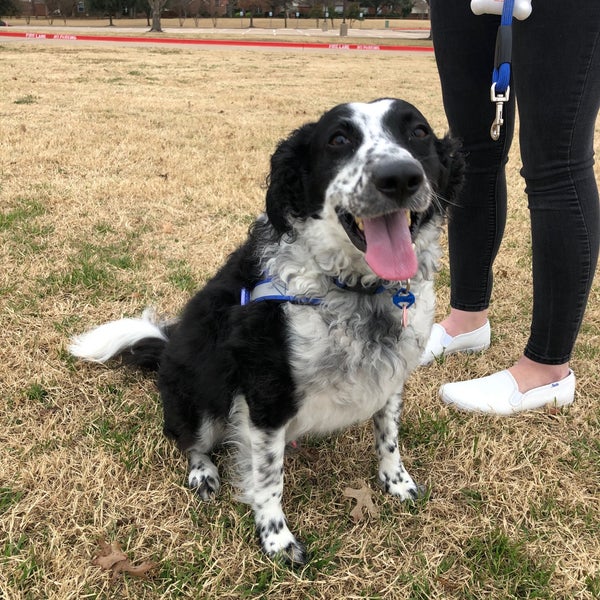 Warren Sports Complex - Park