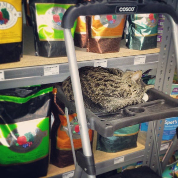 Photos at Urban Tails Pet Supply - Lowry Hill East - 2106 Lyndale Ave S